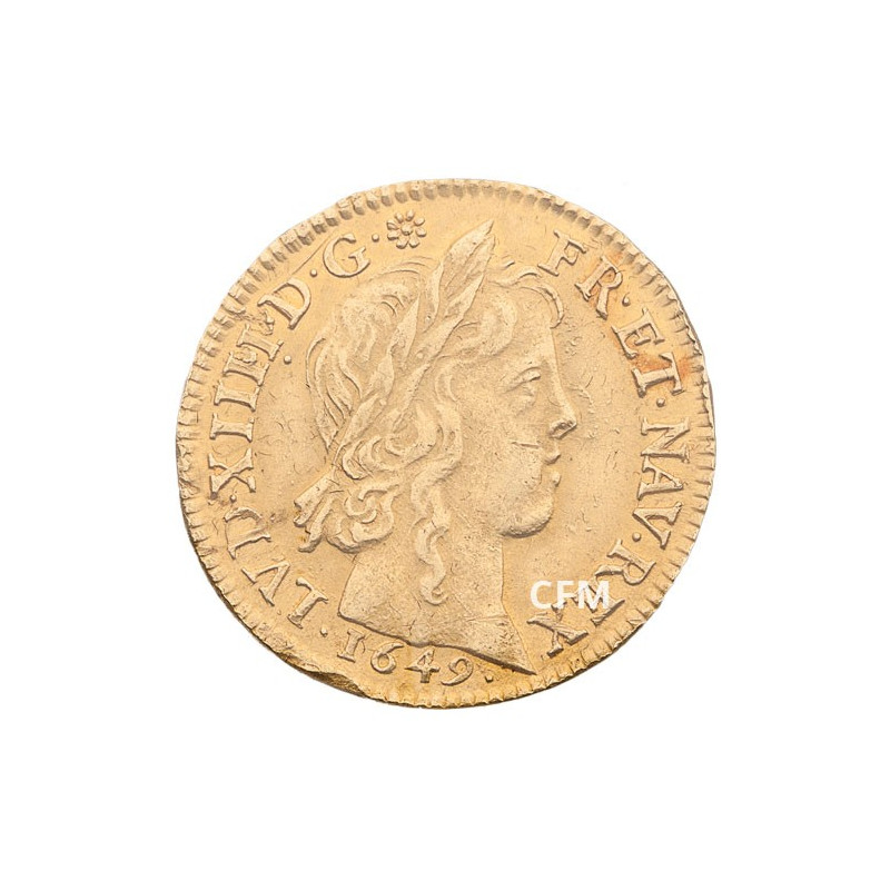 Ecu d'Or Louis XIV (1638 - 1715) à la mèche longue - Trésor du Patrimoine