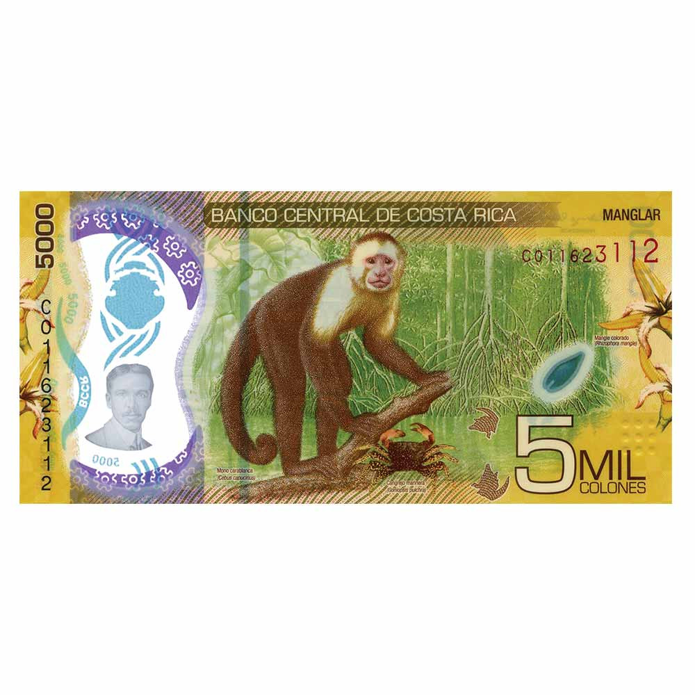5000 Colones Costa Rica - Alfredo González Flores (1877-1962) - Trésor ...